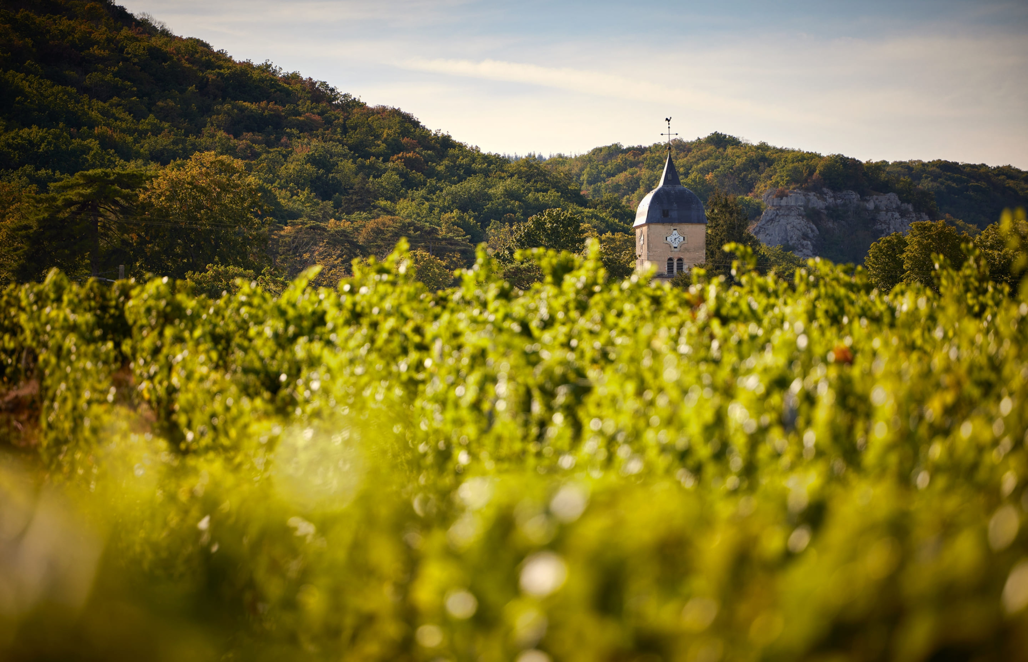 Domaine Georges Roumier à Chambolle-Musigny